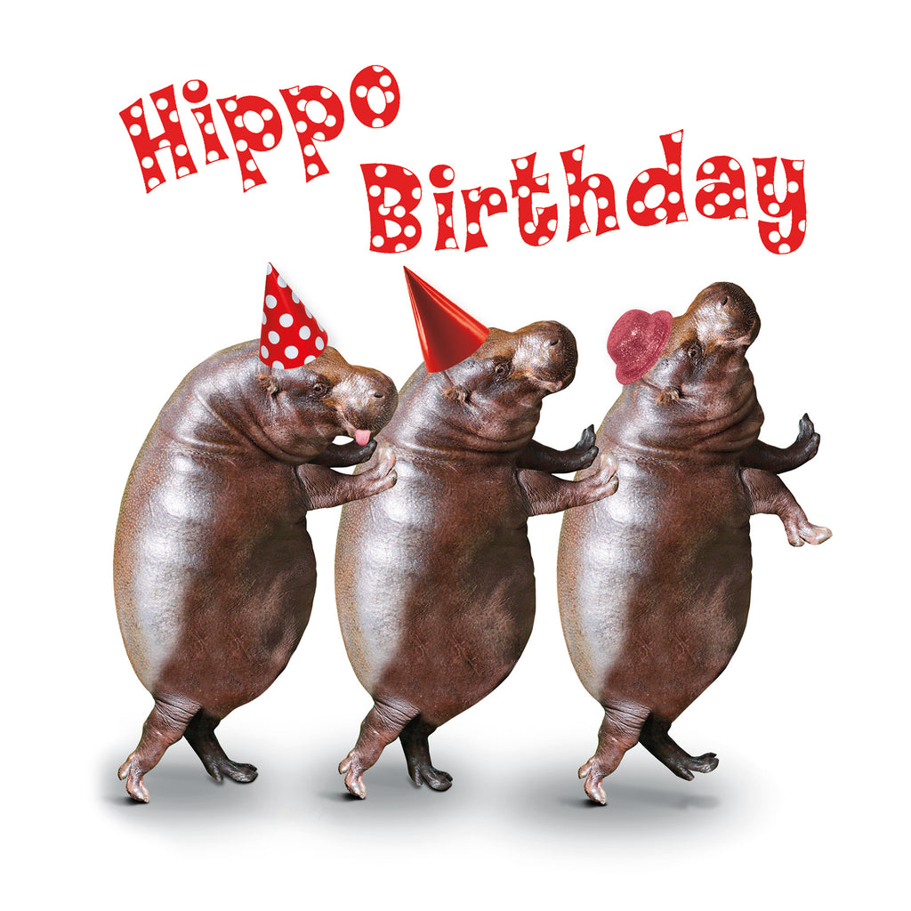 Parkinson's UK greeting cards. Party animal. 5 designs, pack of 10 car ...