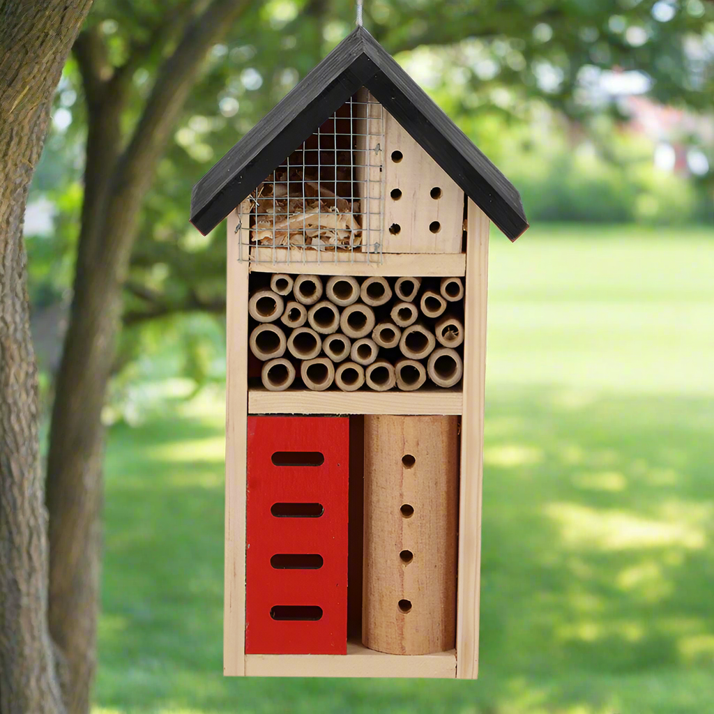 Friendly Insect Houses