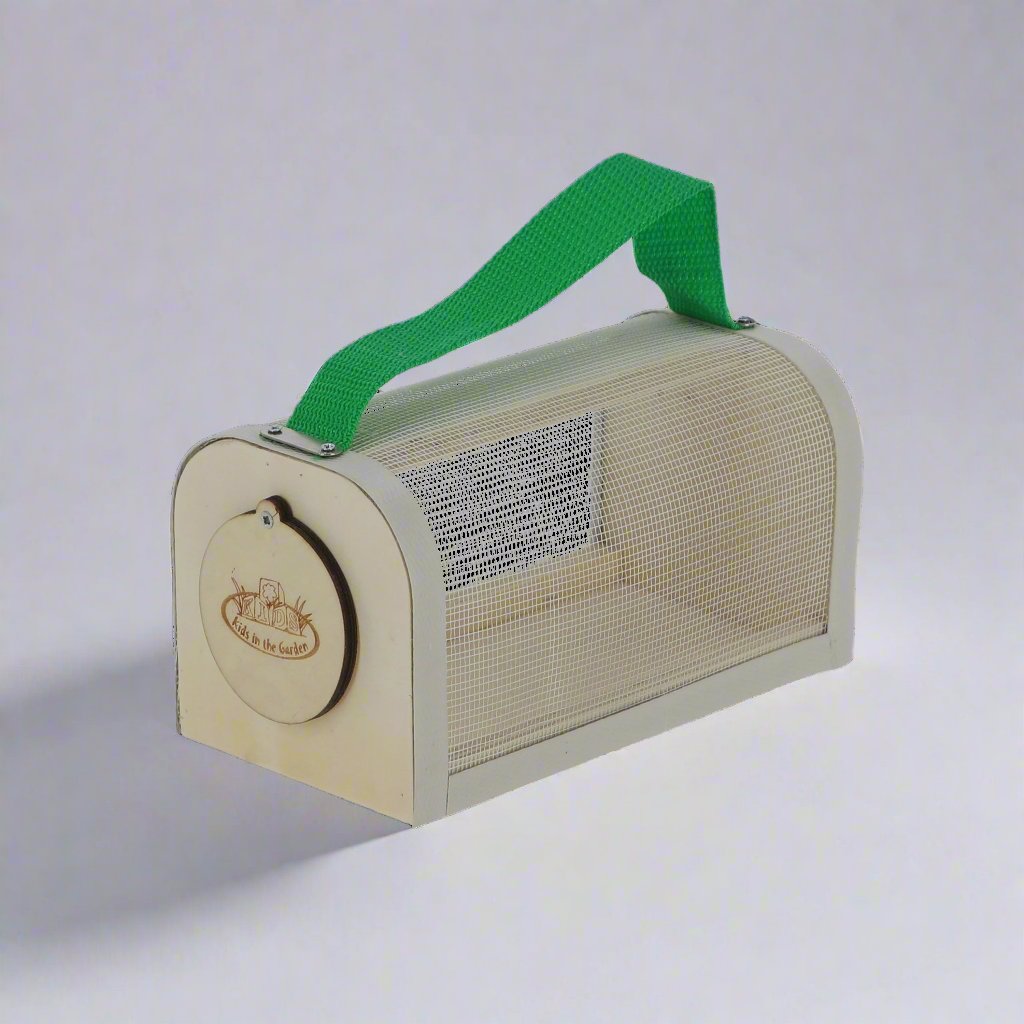 Eco-friendly children's wooden study box with handle – Parkinson's shop